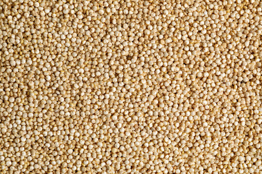 รูปภาพKinwa – เลือกดูภาพถ่ายสต็อก เวกเตอร์ และวิดีโอ71,848 | Adobe Stock