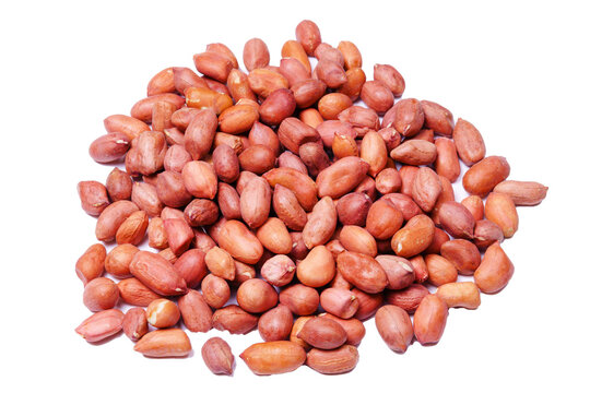 Groundnut Seed
