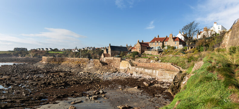 รูปภาพCrail – เลือกดูภาพถ่ายสต็อก เวกเตอร์ และวิดีโอ369 | Adobe Stock