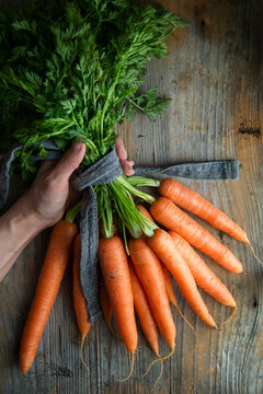 「固める」の写真素材 | 4,310,065件の無料イラスト画像 | Adobe Stock