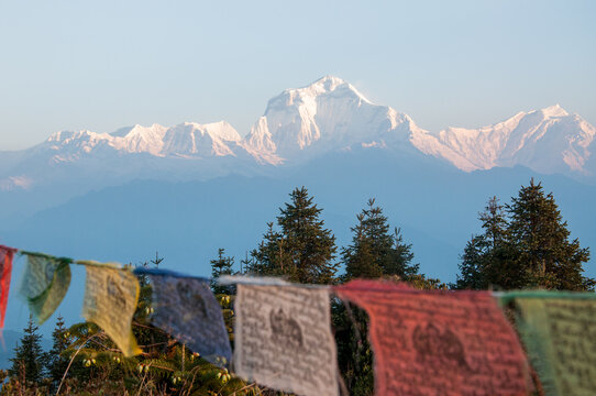 Imágenes de Lungta: descubre bancos de fotos, ilustraciones, vectores y ...