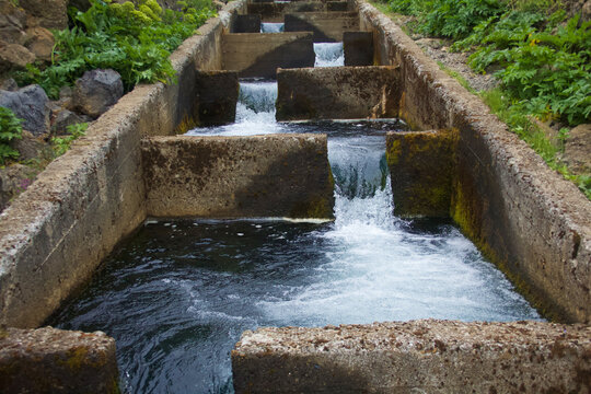 "Water Stream" Images – Browse 23,152 Stock Photos, Vectors, and Video ...