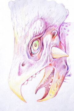 Coronosauria - Images et vidéos libres de droits | Adobe Stock