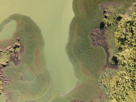 Aerial View Swamp Images – Browse 44,073 Stock Photos, Vectors, and ...