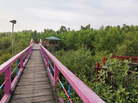 Satkhira Images – Browse 66 Stock Photos, Vectors, and Video | Adobe Stock