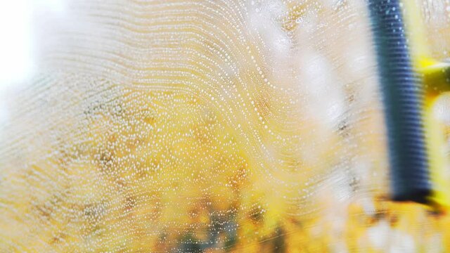 Squeeging Images – Browse 20,366 Stock Photos, Vectors, and Video ...