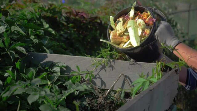 "Waste Food" - Images et vidéos libres de droits | Adobe Stock