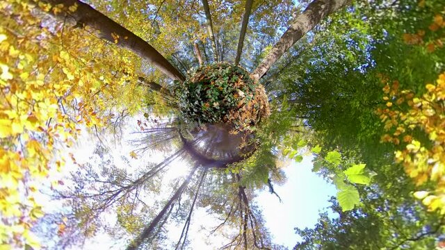 Imagens de Falloff – Explore Fotografias do Stock, Vetores e Vídeos de ...