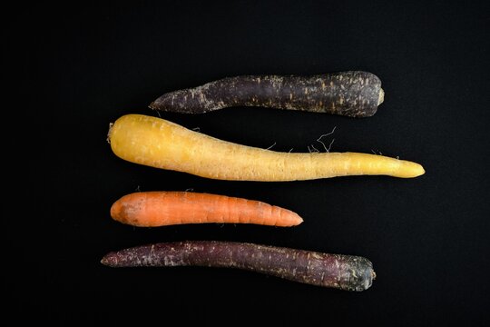 Sorten 이미지 – 찾아보기 12,310 스톡 사진, 벡터 및 비디오 | Adobe Stock