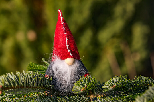 Knollennase Images – Browse 50 Stock Photos, Vectors, and Video | Adobe ...