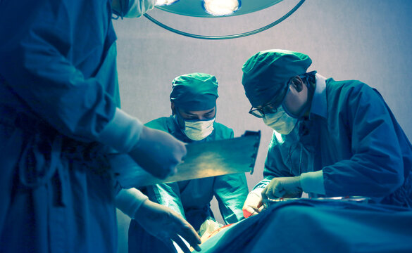 Vivisection Immagini - Sfoglia 683 foto, vettoriali e video Stock ...