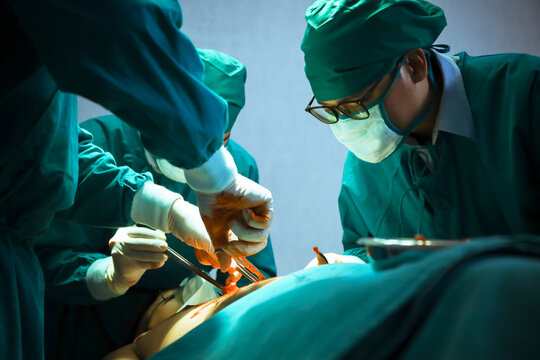 Vivisection Images – Parcourir 683 le catalogue de photos, vecteurs et ...