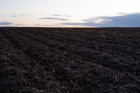 Plog bilder – Bläddra bland 150,880 stockfoton, vektorer och videor ...