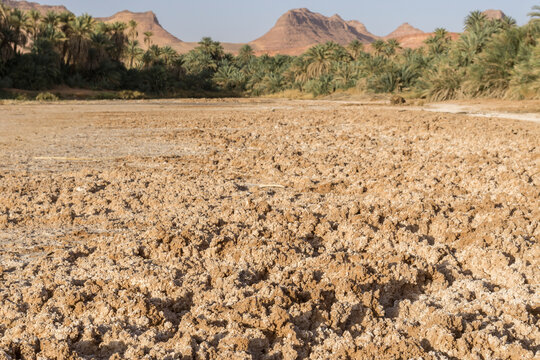 รูปภาพSerir – เลือกดูภาพถ่ายสต็อก เวกเตอร์ และวิดีโอ5,586 | Adobe Stock
