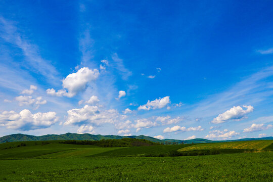 รูปภาพGrass-Land – เลือกดูภาพถ่ายสต็อก เวกเตอร์ และวิดีโอ3,552 | Adobe ...