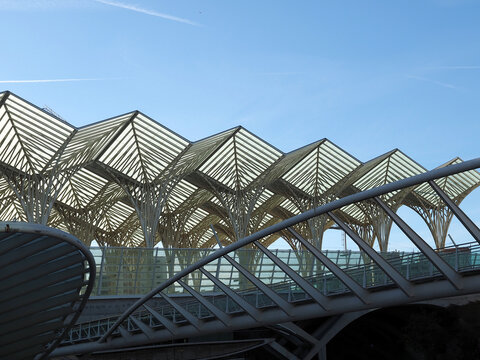 Intersting Images – Browse 365 Stock Photos, Vectors, and Video | Adobe ...