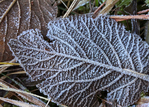 Ogivale Images – Parcourir 6,077 le catalogue de photos, vecteurs et ...