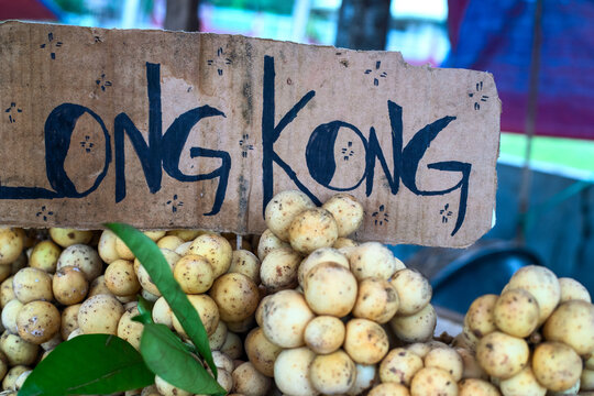 「Lanzones」の写真素材 | 3,165件の無料イラスト画像 | Adobe Stock