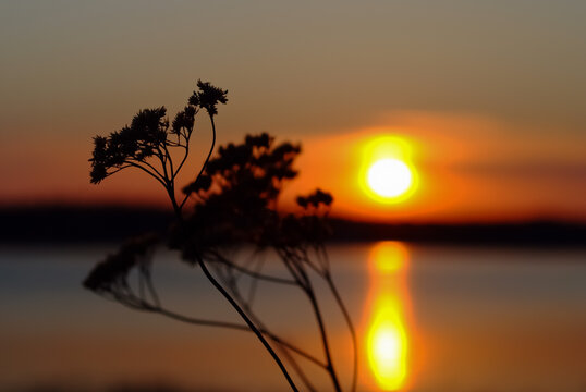 "Evening Landscape" Imagens – Procure 732 fotos, vetores e vídeos ...