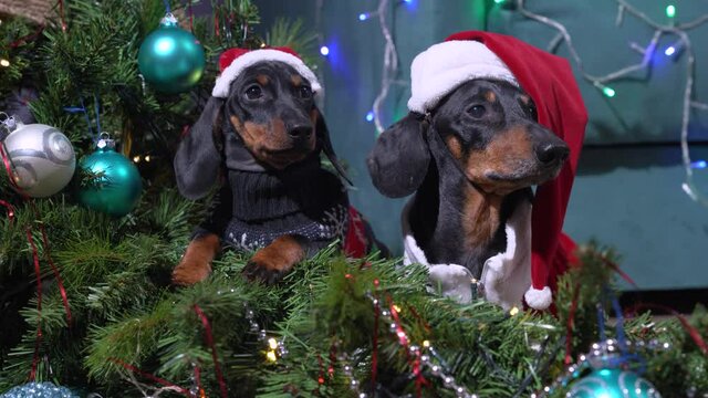 Instigator Images – Browse 346 Stock Photos, Vectors, and Video | Adobe ...