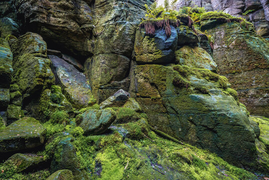 "Siber Bilder – Durchsuchen 1,058 Archivfotos, Vektorgrafiken und ...