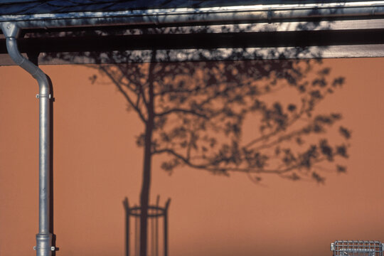 Baumschatten Imagens – Procure 194 fotos, vetores e vídeos | Adobe Stock