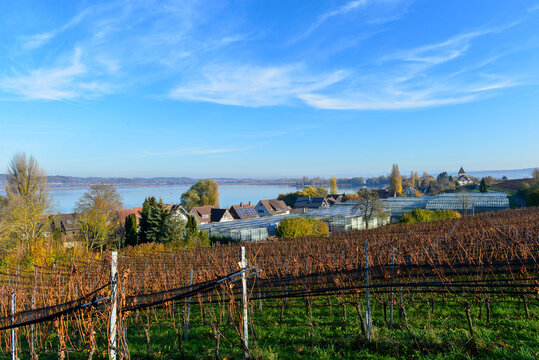 รูปภาพ"Winzer – เลือกดูภาพถ่ายสต็อก เวกเตอร์ และวิดีโอ18,808 | Adobe Stock