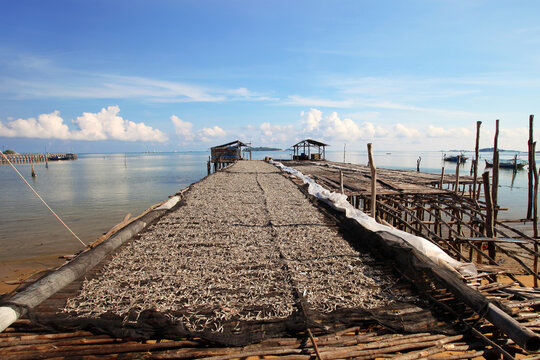 Binga bilder – Bläddra bland 382 stockfoton, vektorer och videor ...