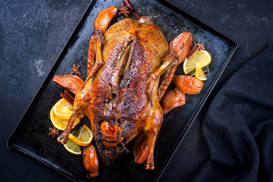 「Mastgans」の画像 - 149 件の Stock 写真、ベクターおよびビデオ | Adobe Stock