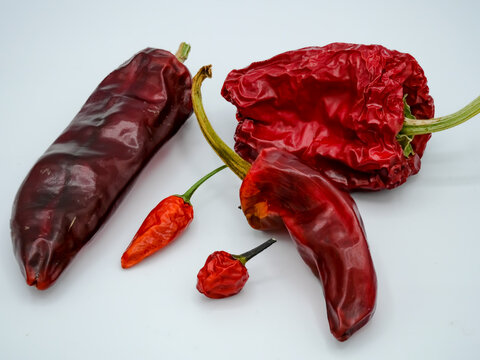 Imágenes de Sorten: descubre bancos de fotos, ilustraciones, vectores y ...