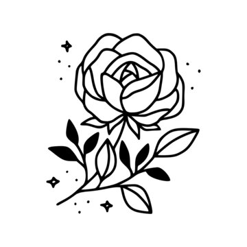 Rara photos, images, assets | Adobe Stock