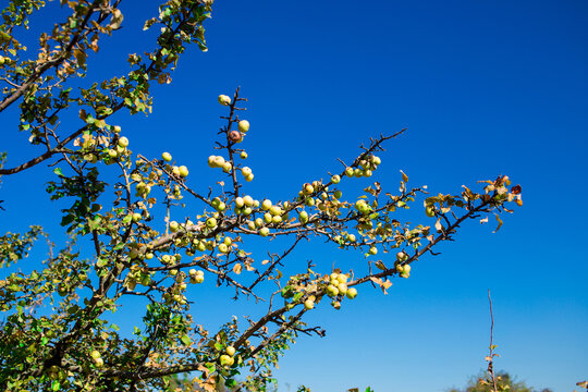 รูปภาพZakan – เลือกดูภาพถ่ายสต็อก เวกเตอร์ และวิดีโอ135 | Adobe Stock