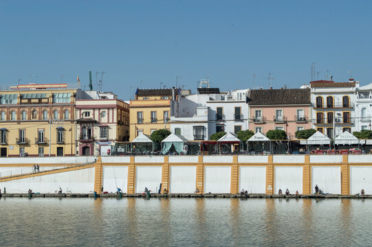 รูปภาพTriana – เลือกดูภาพถ่ายสต็อก เวกเตอร์ และวิดีโอ4,068 | Adobe Stock