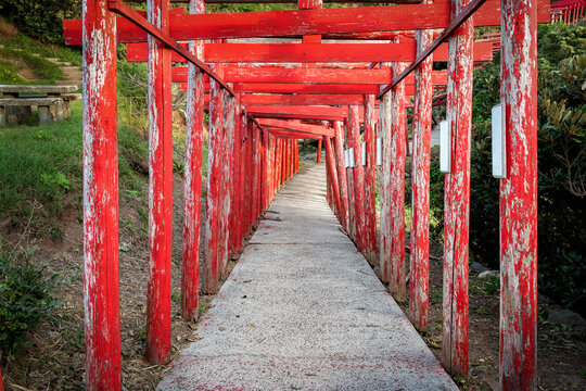 รูปภาพYamaguchi – เลือกดูภาพถ่ายสต็อก เวกเตอร์ และวิดีโอ3,903 | Adobe Stock