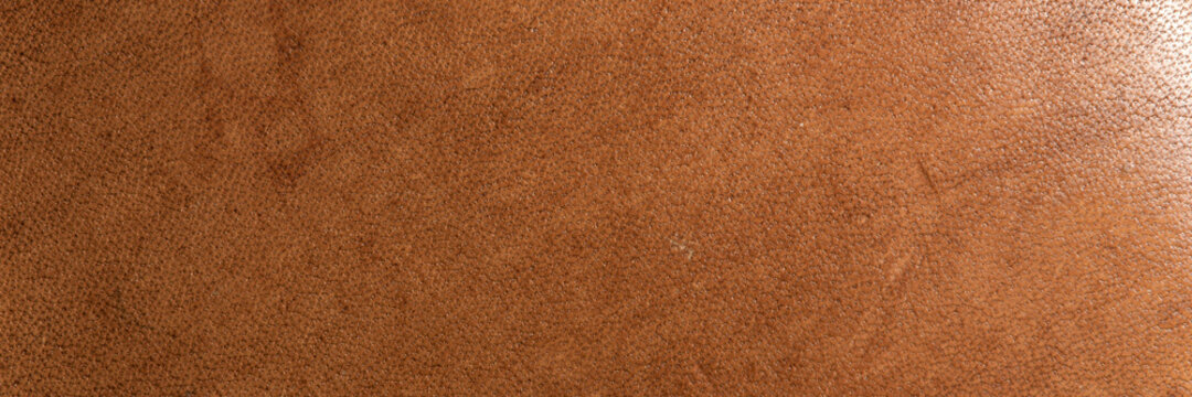 Scuffed Images – Browse 30,273 Stock Photos, Vectors, and Video | Adobe ...