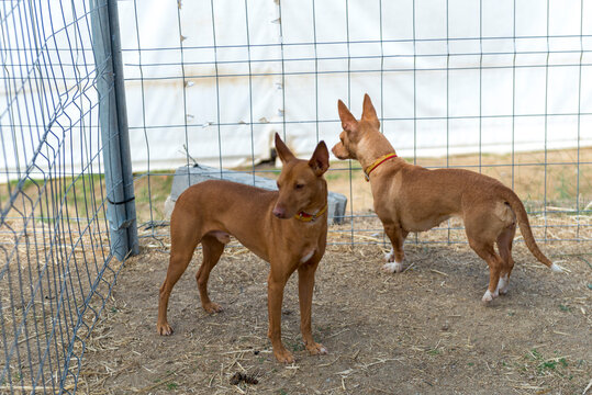 Maneto Images – Browse 122 Stock Photos, Vectors, and Video | Adobe Stock