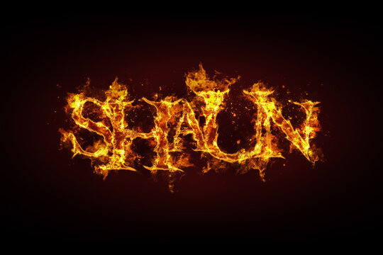 Shaun Billeder – Gennemse 379 stockfotos, vektorer og videoer | Adobe Stock