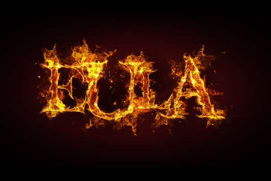 441 件の最適な Eula 画像、ストック写真、ベクター | Adobe Stock