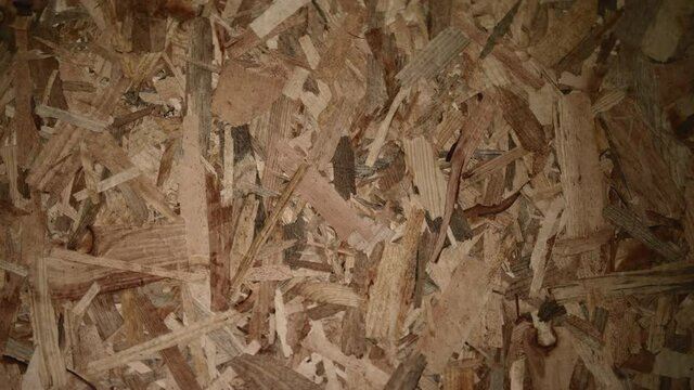 รูปภาพChipwood – เลือกดูภาพถ่ายสต็อก เวกเตอร์ และวิดีโอ125 | Adobe Stock