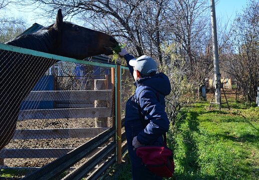 Kormit Images – Browse 25 Stock Photos, Vectors, and Video | Adobe Stock