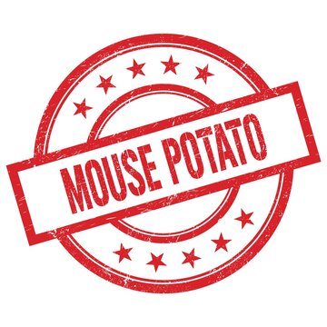 Pantouflard Images – Parcourir 11,985 le catalogue de photos, vecteurs ...