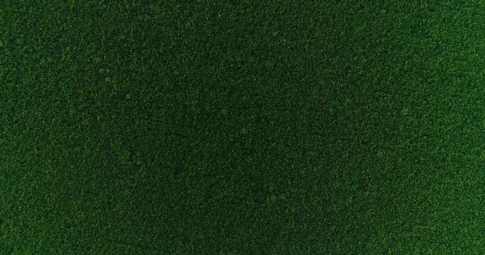 Overhead Grass Images – Browse 38,555 Stock Photos, Vectors, and Video ...