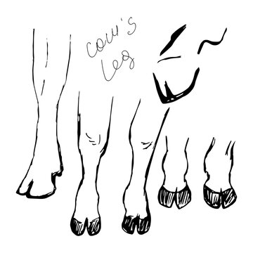 Split Hooves