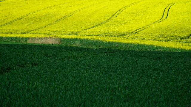 "Pole Uprawne" Images – Browse 1,149 Stock Photos, Vectors, and Video ...