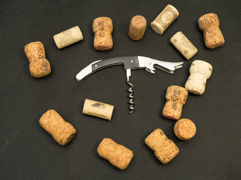 รูปภาพUncork – เลือกดูภาพถ่ายสต็อก เวกเตอร์ และวิดีโอ13,844 | Adobe Stock