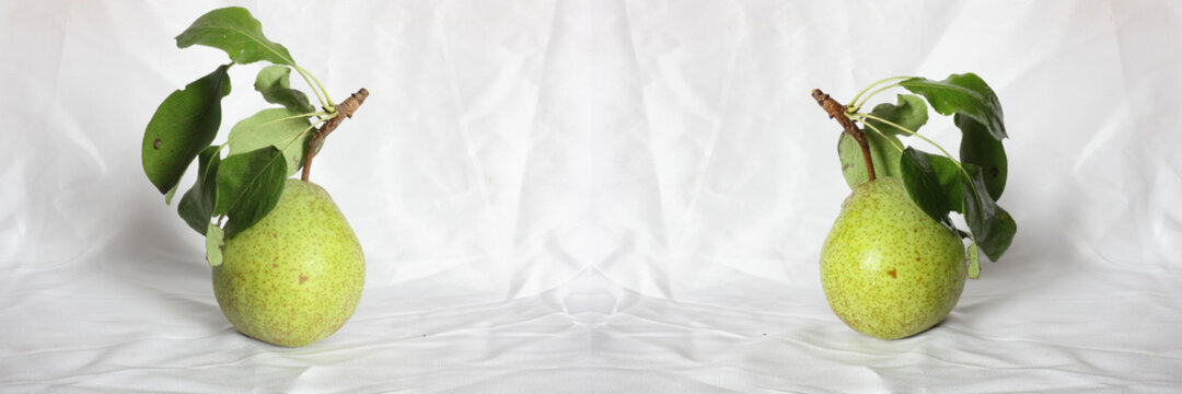 "Not Edited"-Bilder: Stock-Fotos & -Videos. | Adobe Stock