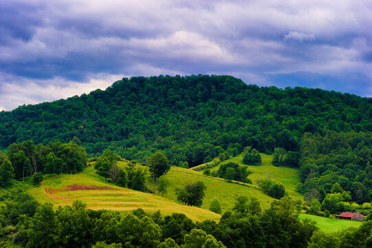 「Rual」の画像 - 630 件の Stock 写真、ベクターおよびビデオ | Adobe Stock