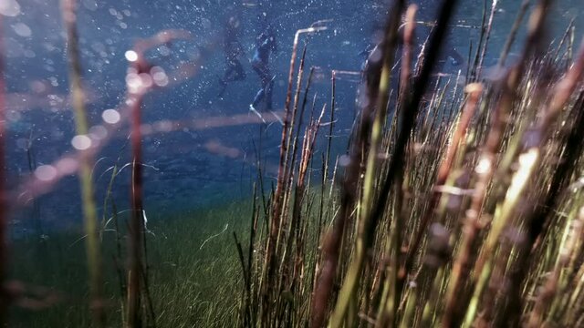 รูปภาพSubmergence – เลือกดูภาพถ่ายสต็อก เวกเตอร์ และวิดีโอ390 | Adobe Stock