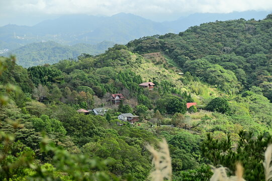 Qinglin Images – Browse 4 Stock Photos, Vectors, and Video | Adobe Stock