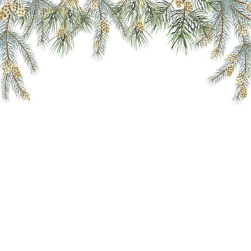 Pine Tree Border